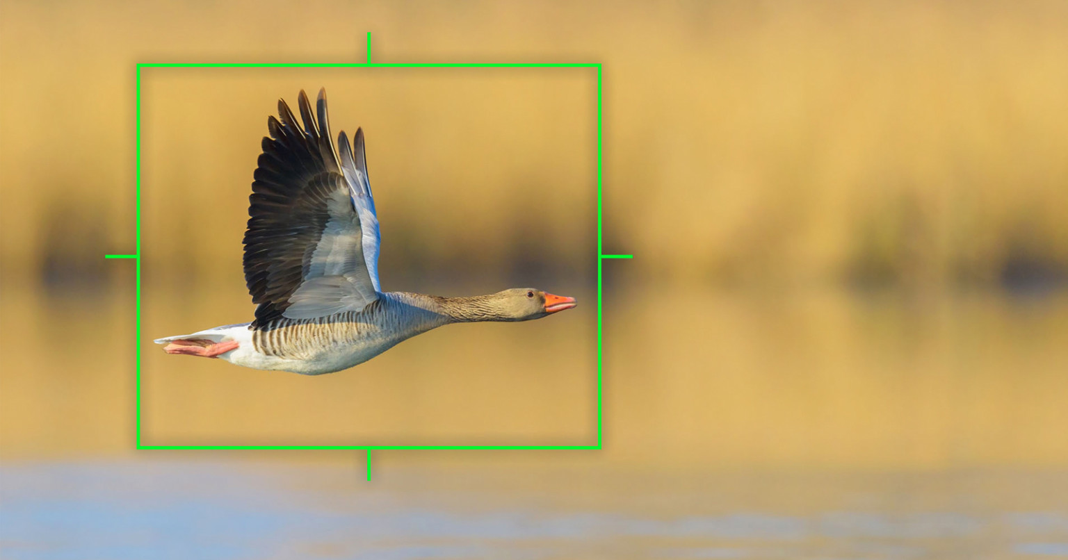 Fototips ru Fototips ru